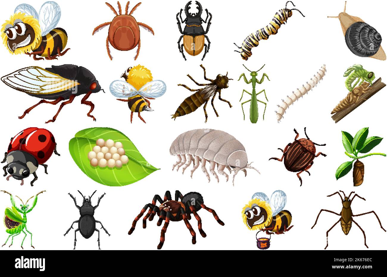 Different kinds of insects collection illustration Stock Vector Image ...