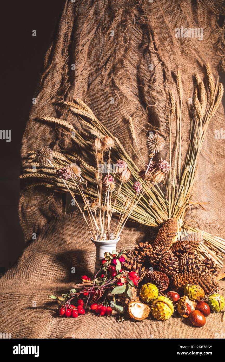 Autumn harvest festival still life scene featuring wheat, conkers, red ...
