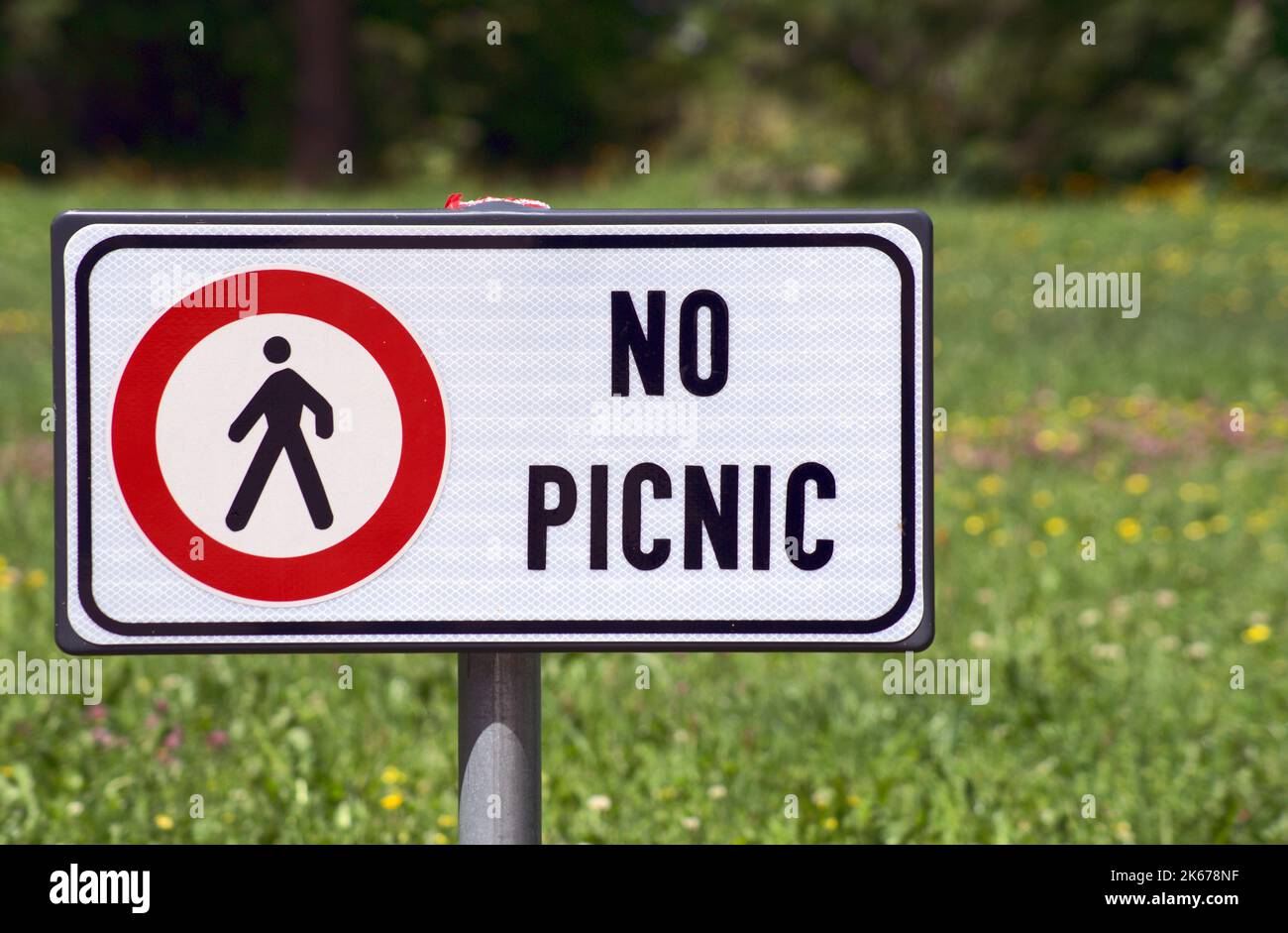A closeup shot of a white sign with "NO PICNIC" text in black on a ...