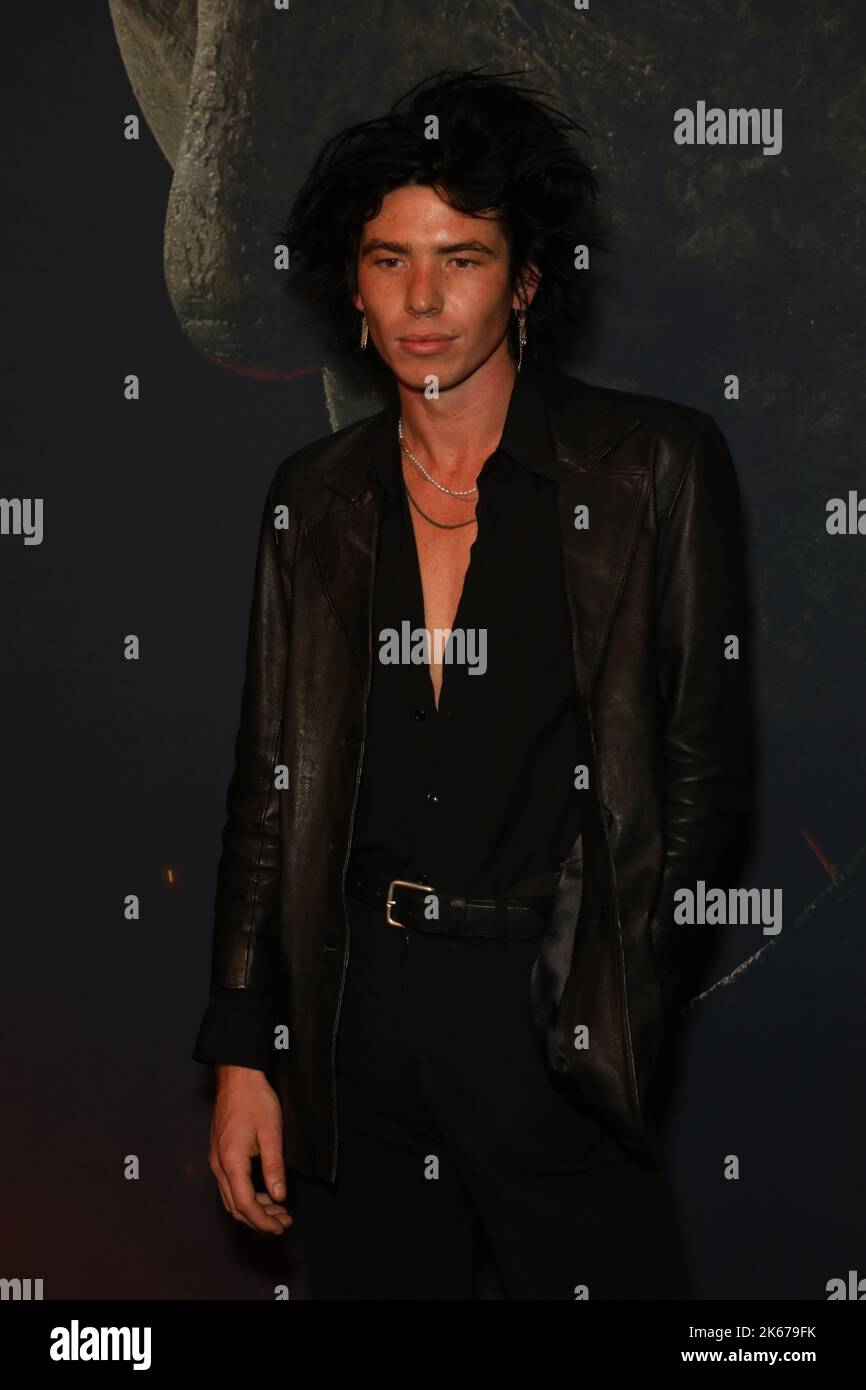 Sydney, Australia. 12th October 2022. Cai Fox Leplaw attends the Sydney ...