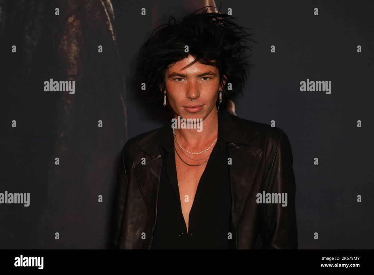 Sydney, Australia. 12th October 2022. Cai Fox Leplaw attends the Sydney ...