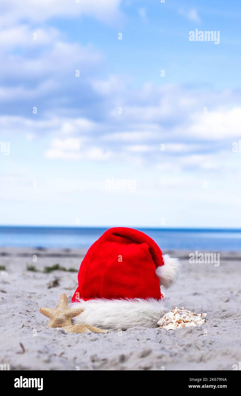 Christmas background Santa Claus hat on the beach with starfish Stock ...