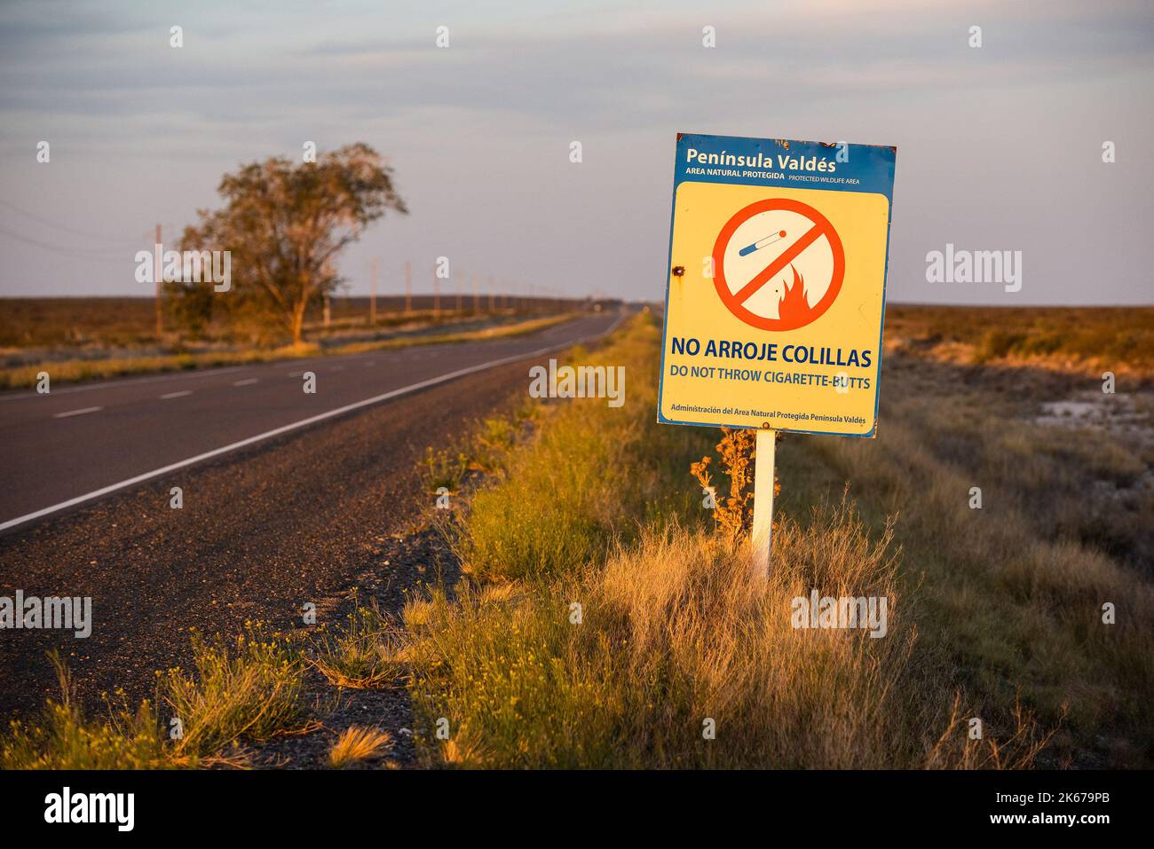 Route in Peninsula Valdes, Chubut Province, Patagonia, Argentina Stock ...