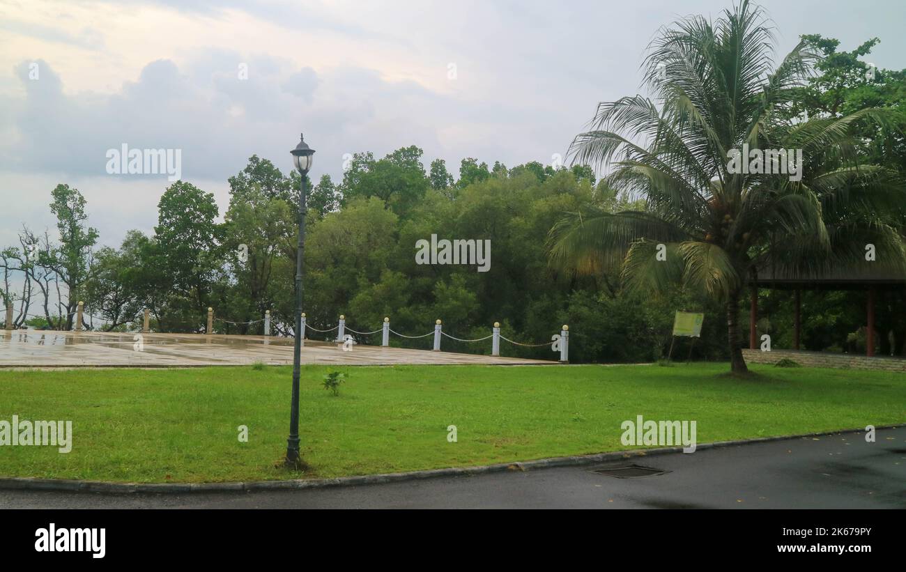 Dwarf coconut tree in a beautiful garden by the beach Stock Photo - Alamy