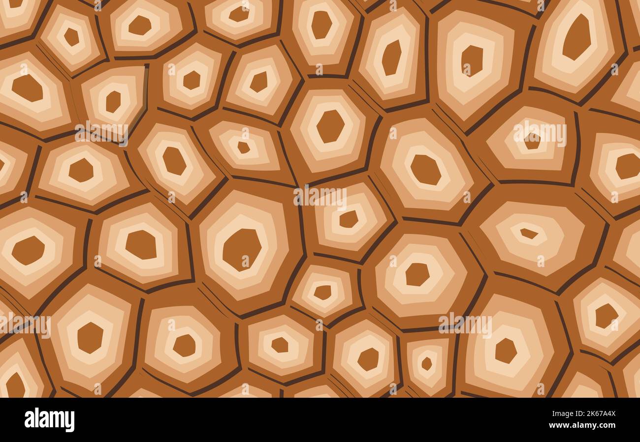 Abstract modern turtle shell seamless pattern. Animals trendy ...