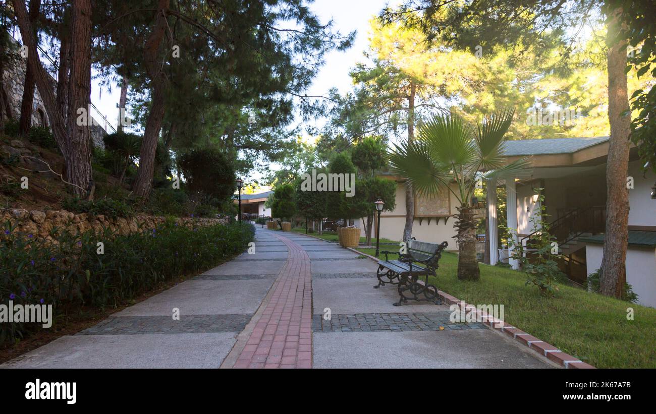 A beautiful stone path park with palm trees leading to the sea Stock ...