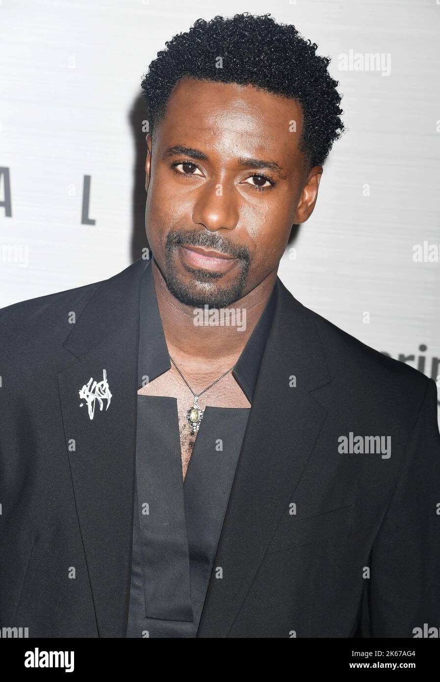 LOS ANGELES, CA - OCTOBER 11: Gary Carr attends Prime Video's "The ...