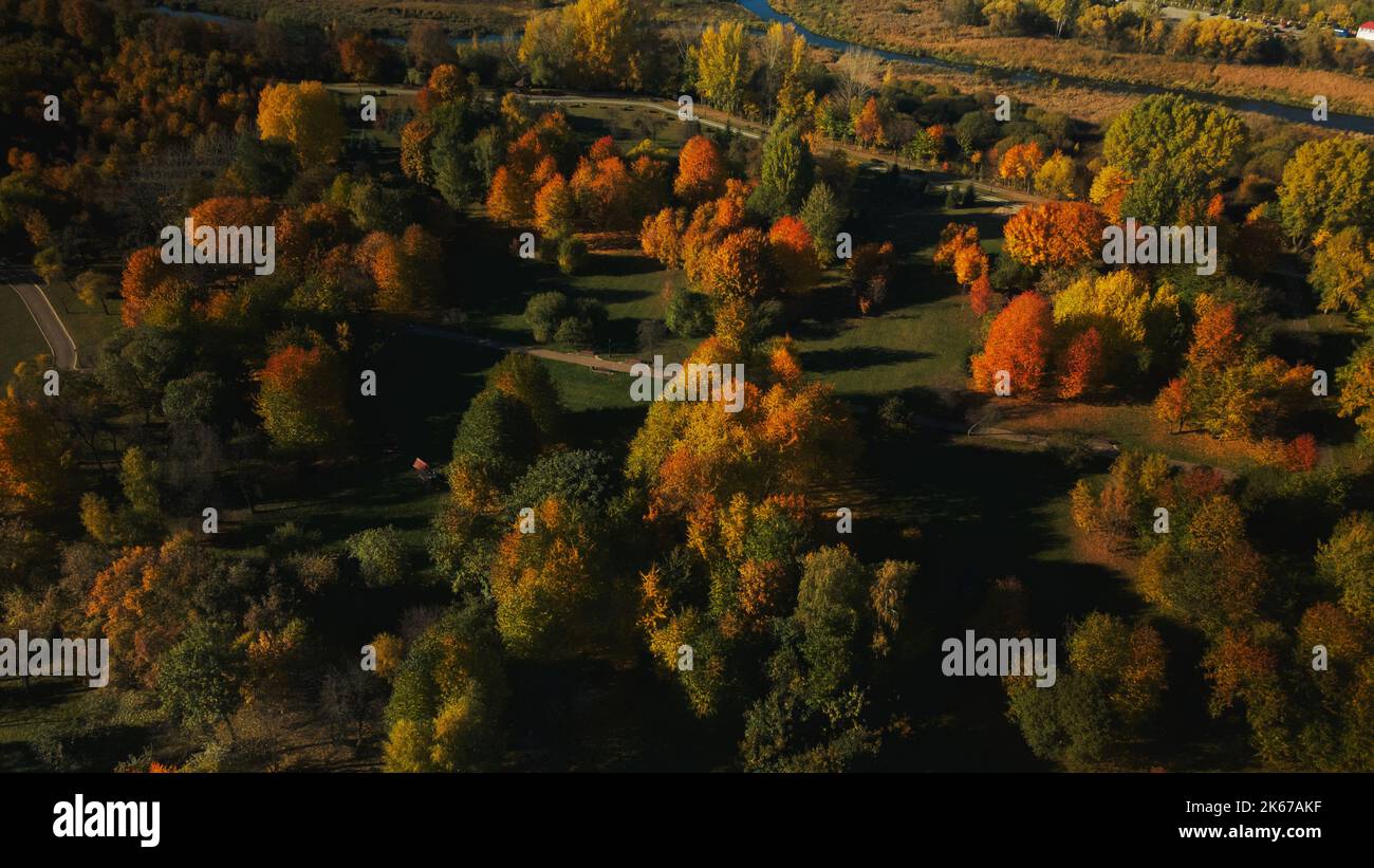 Aerial video of fall trees hi-res stock photography and images - Alamy