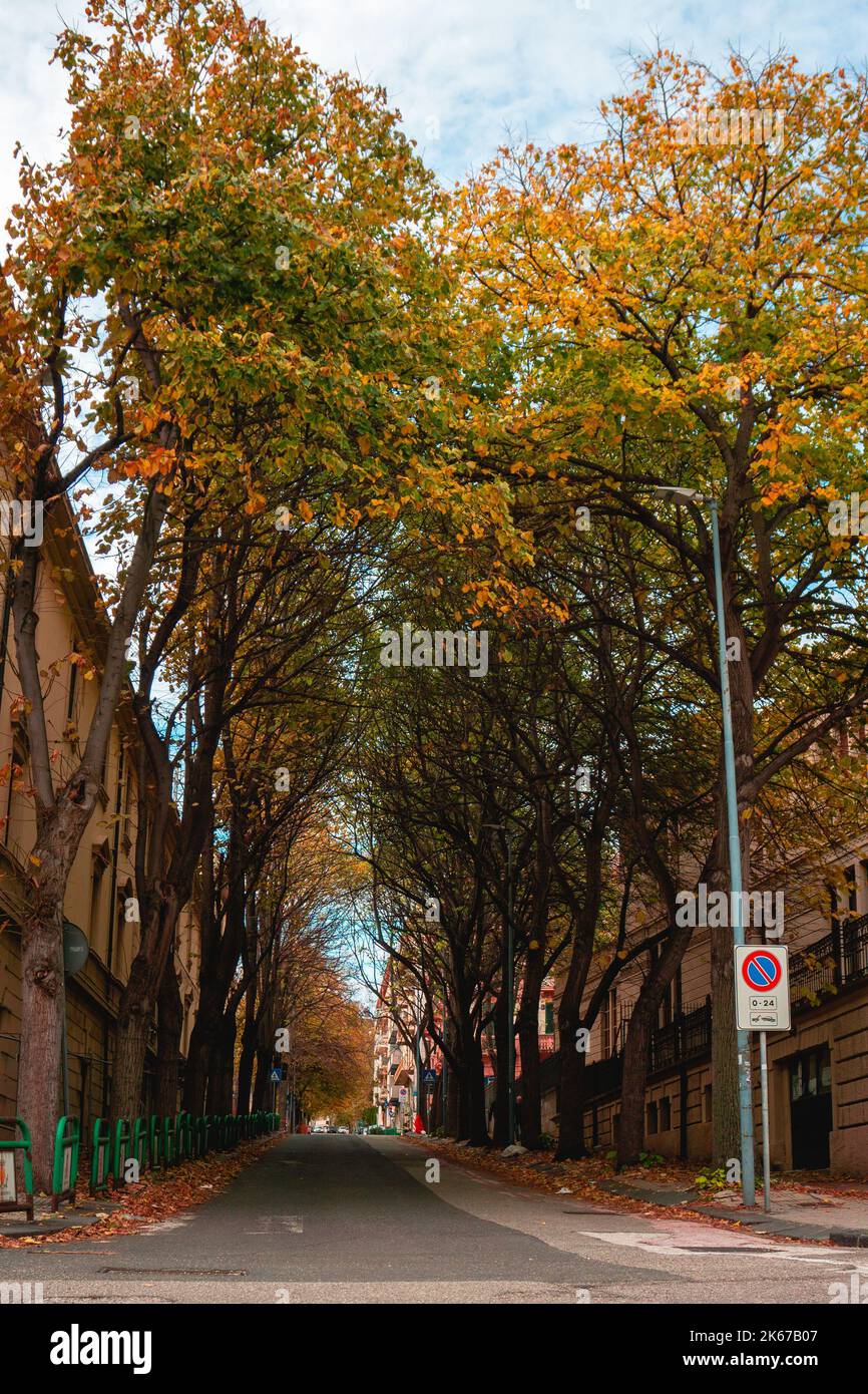 A vertical shot of narrow street in a town with tall autumn trees on ...