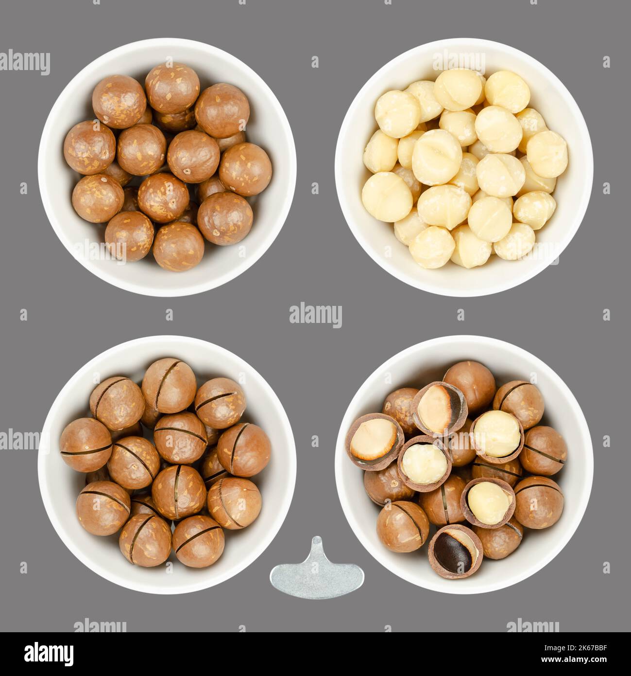 Macadamia nuts, in white bowls, over gray. Queensland, bush, maroochi ...