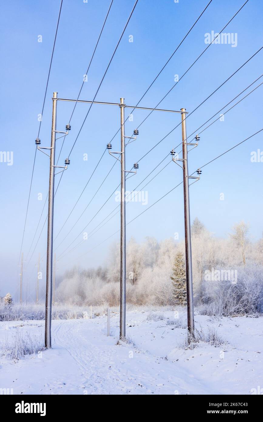Electric transmission line wooden poles hi-res stock photography and ...