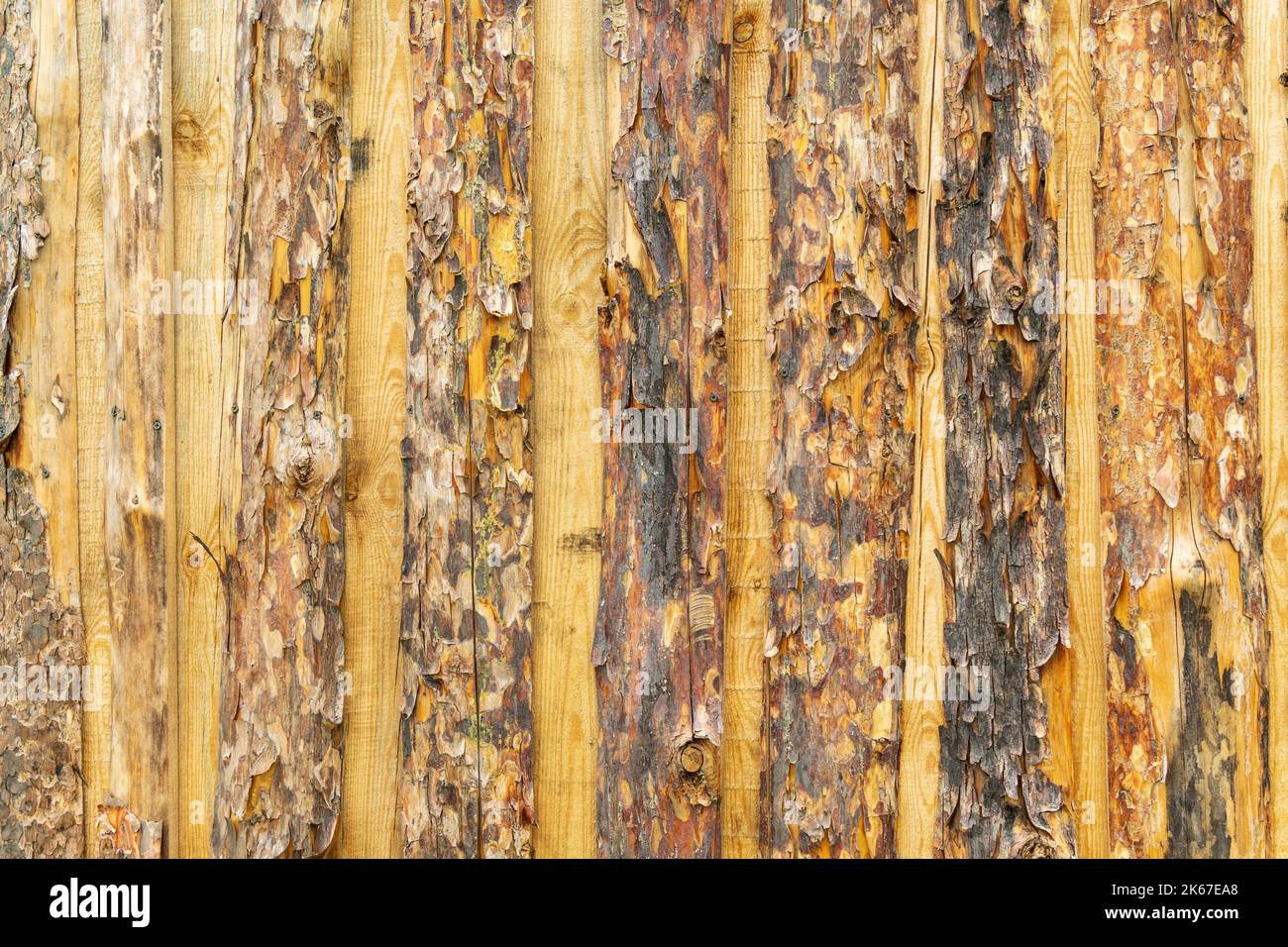 Rustic wooden planks texture background for design. Wood planks texture background Stock Photo ...