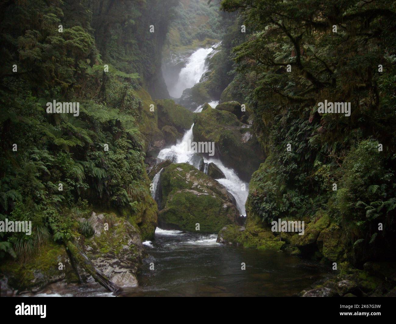 Milford Track Great Walks. Fiordland National Park. South Island. New ...
