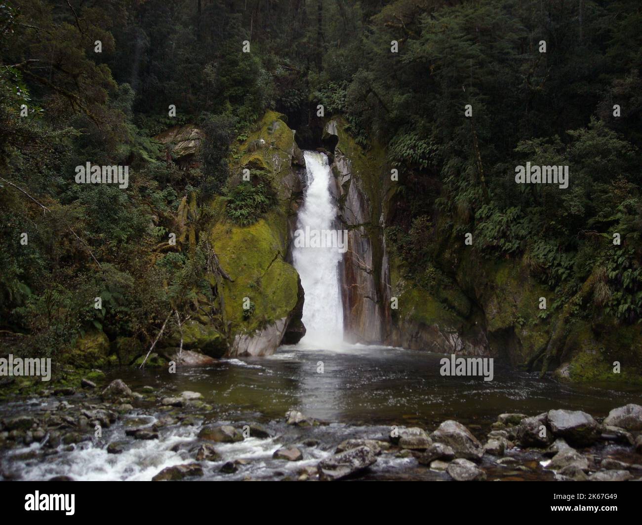Milford Track Great Walks. Fiordland National Park. South Island. New ...