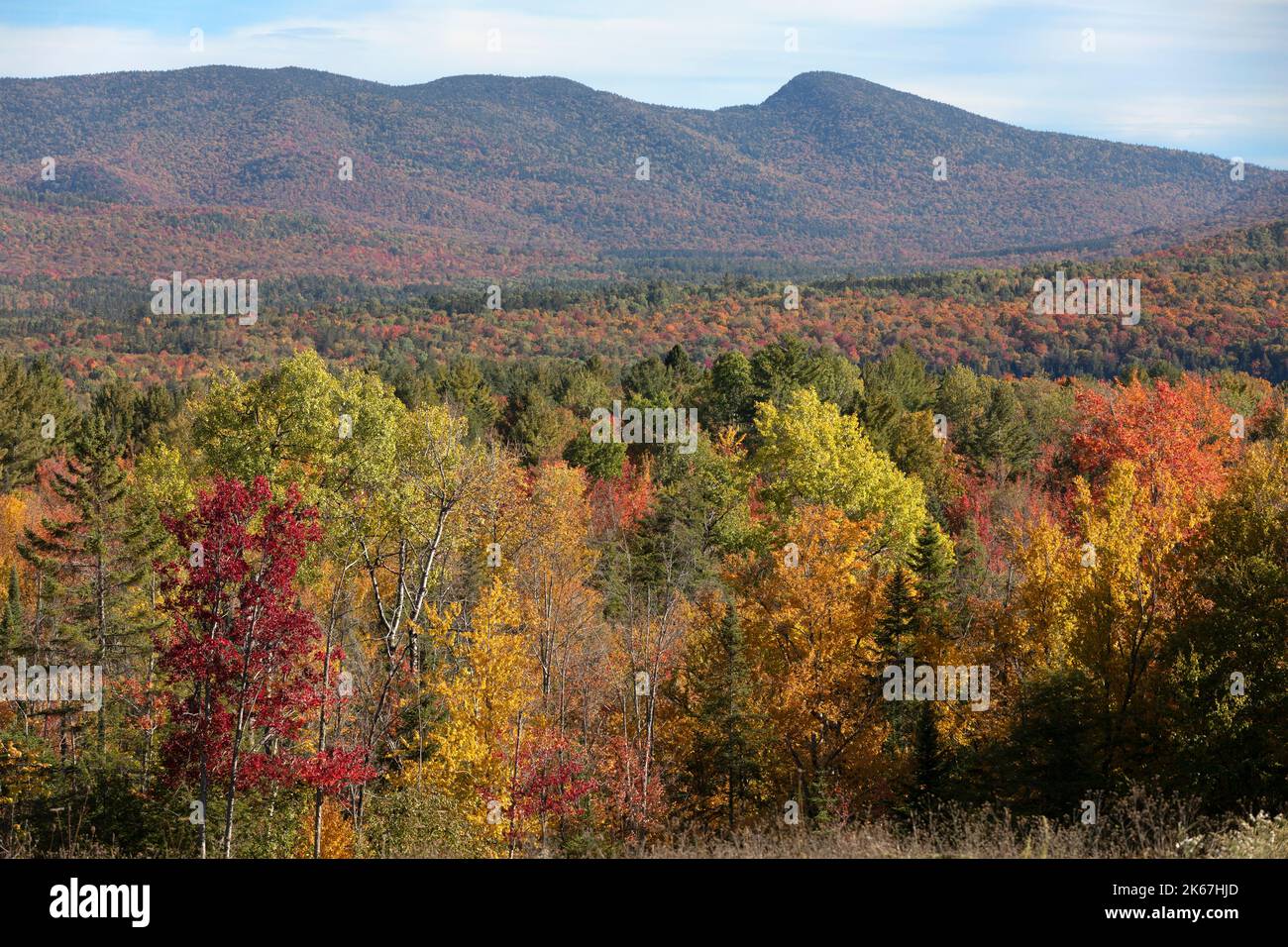 Hillside brilliant fall foliage, Adirondacks, New York Stock Photo - Alamy