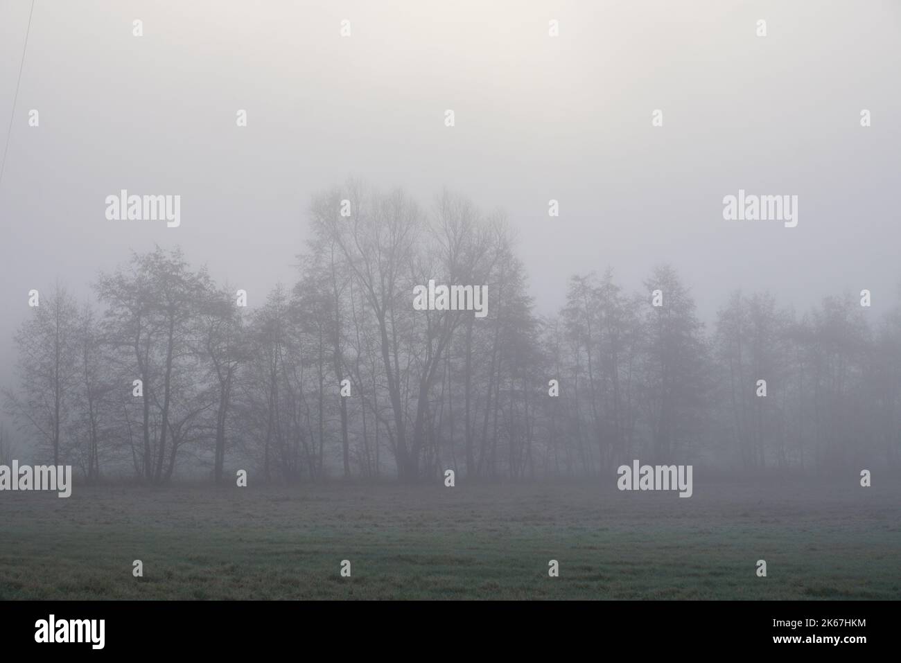 Moegennebel hi-res stock photography and images - Alamy