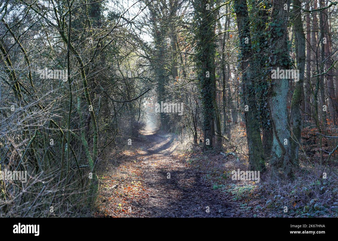 Lippeseitenweg hi-res stock photography and images - Alamy