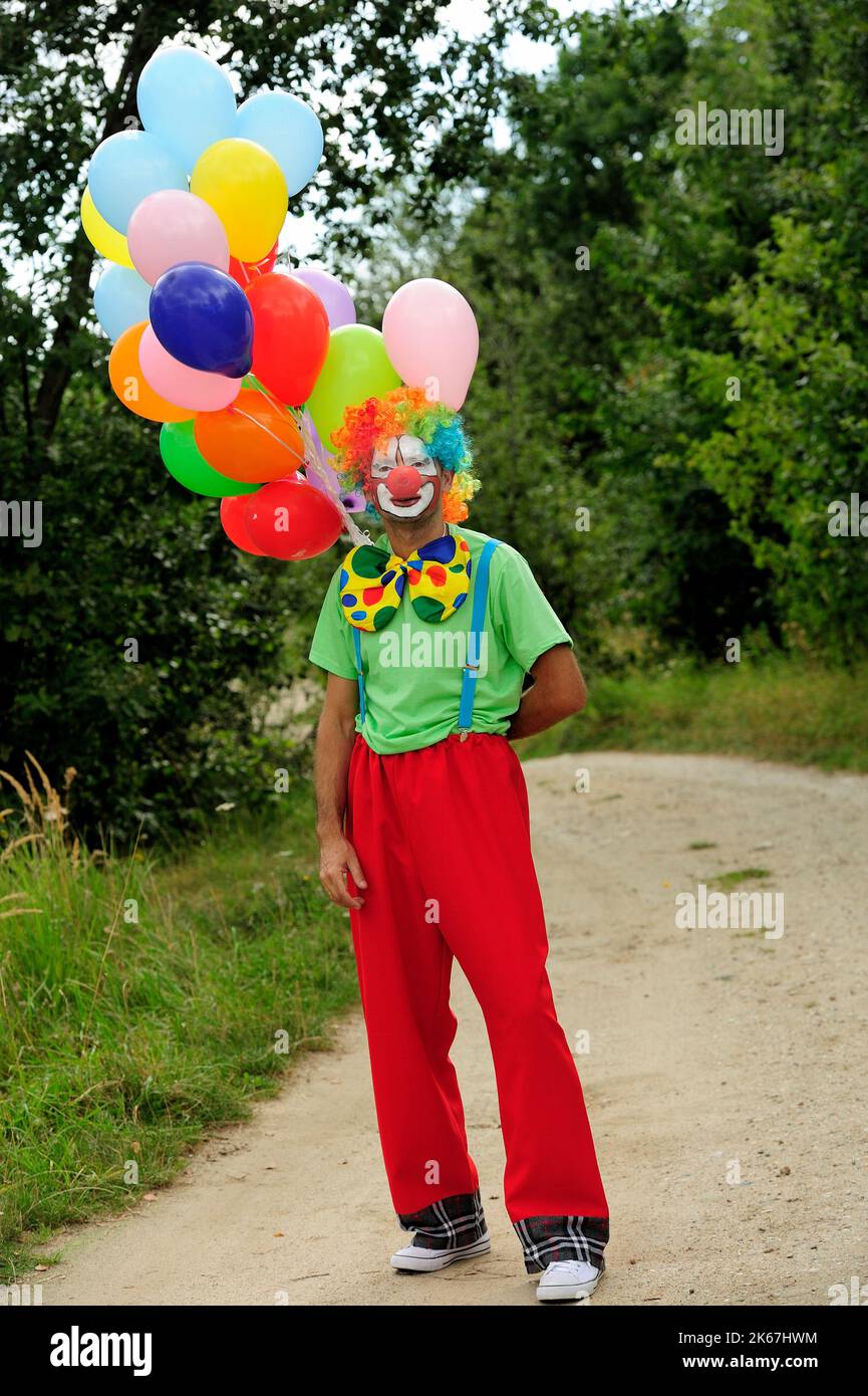 clown, fun, happy, clowns, colorful, funny, good mood, balloons ...