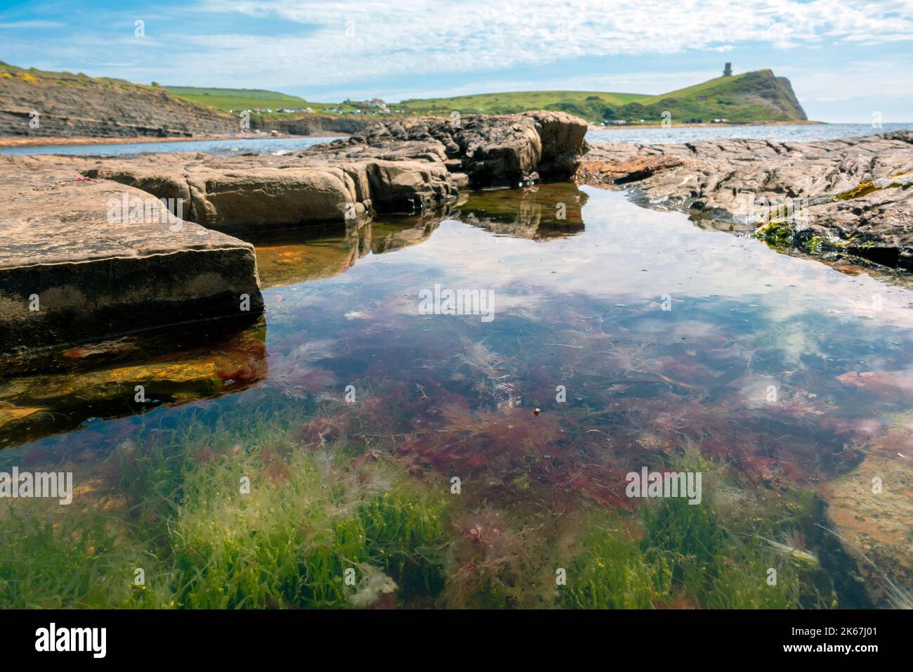 Seaweed and rock pools with Clavell Tower in the distance at Kimmeridge ...