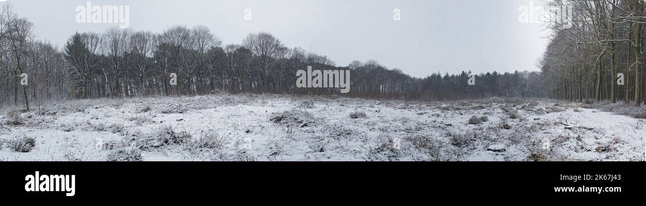 A grey cold winter wide angle landscape on Ganzeveld nature reserve in ...