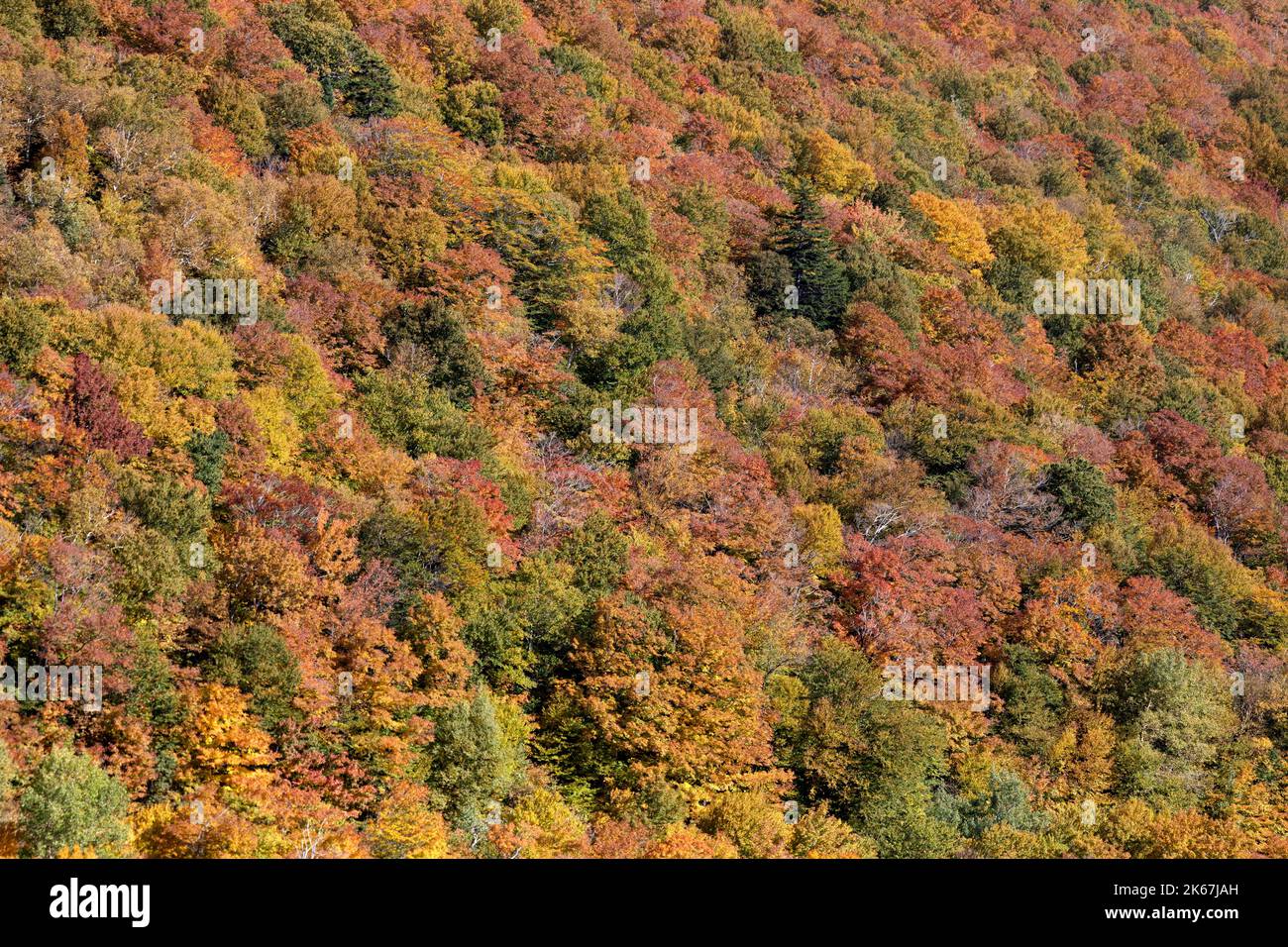 Fall foliage landscape, Norther Vermont Stock Photo - Alamy