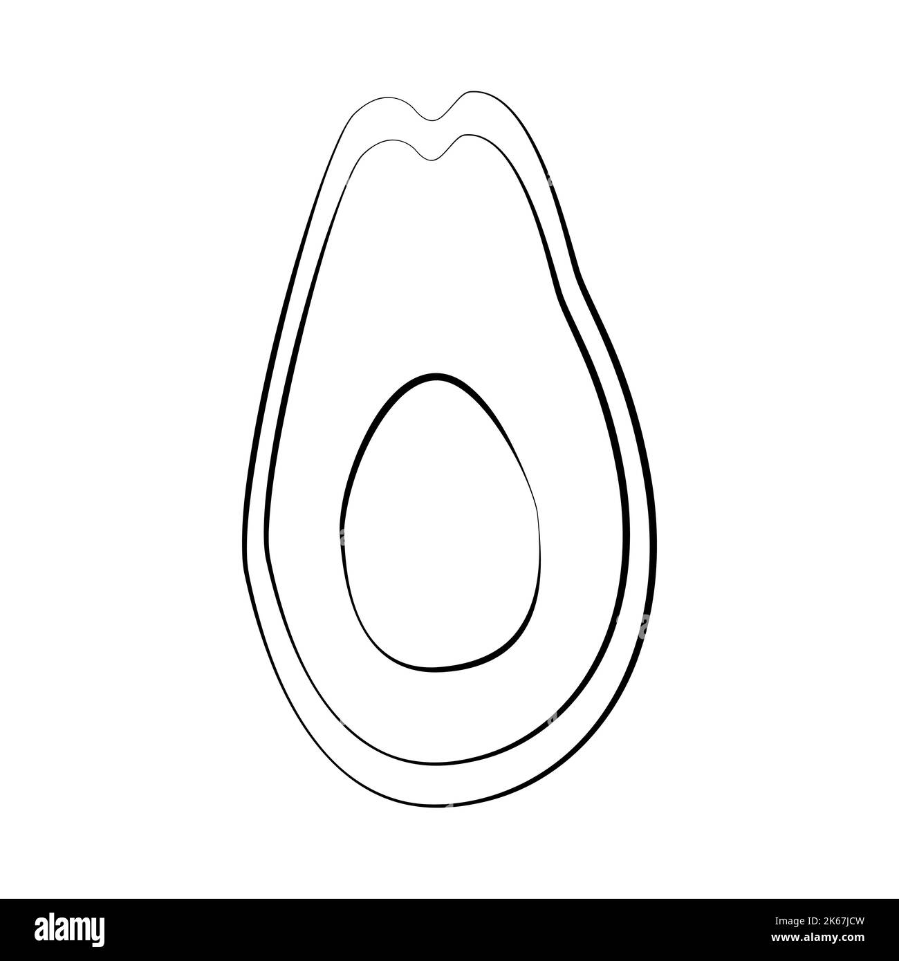 Avocado in a thin line. Vector on a white background Stock Vector Image ...