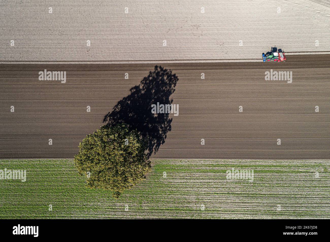 Luftbild baum feld hi-res stock photography and images - Alamy