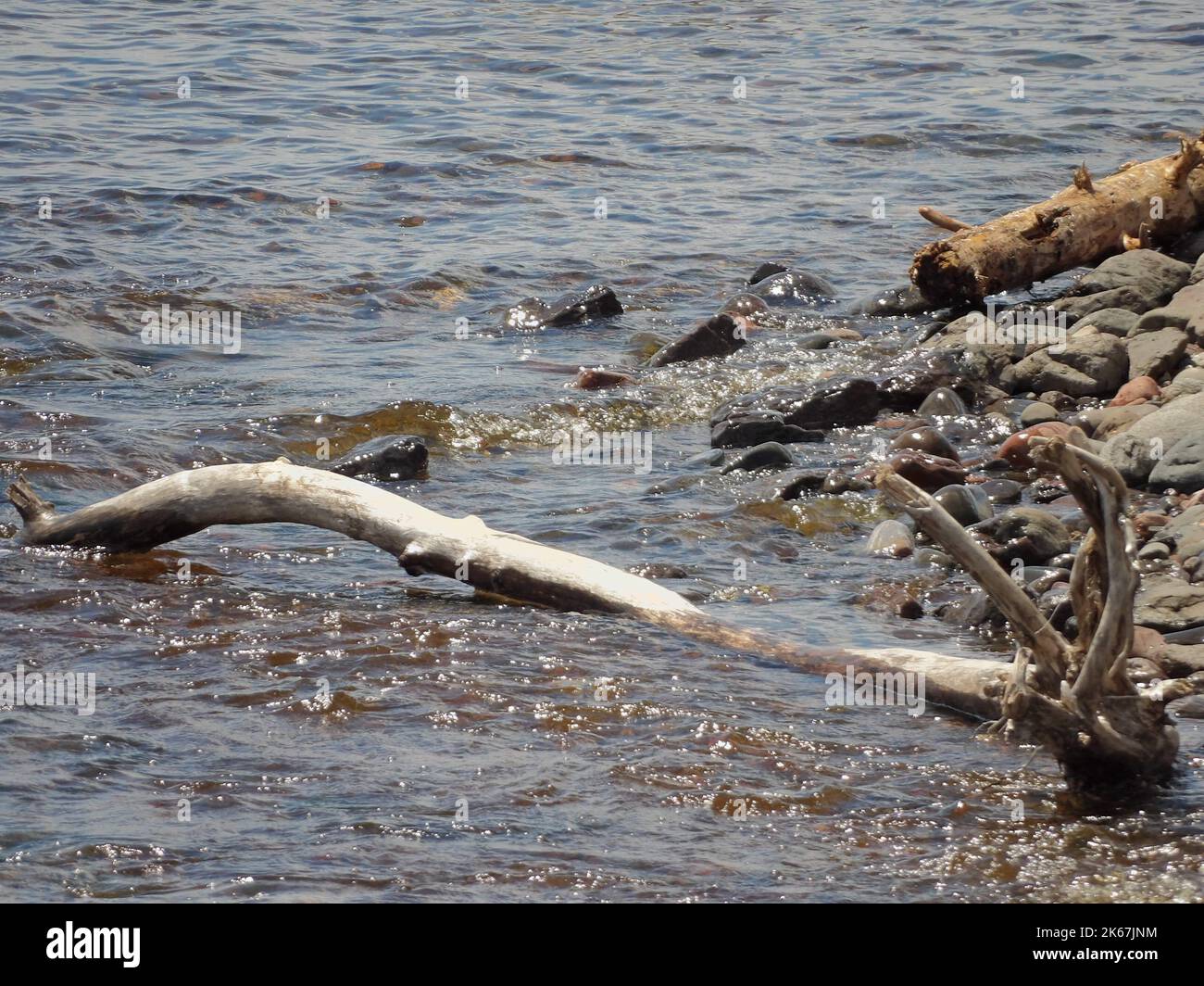 A driftwood stuck on the rock in the river Stock Photo - Alamy
