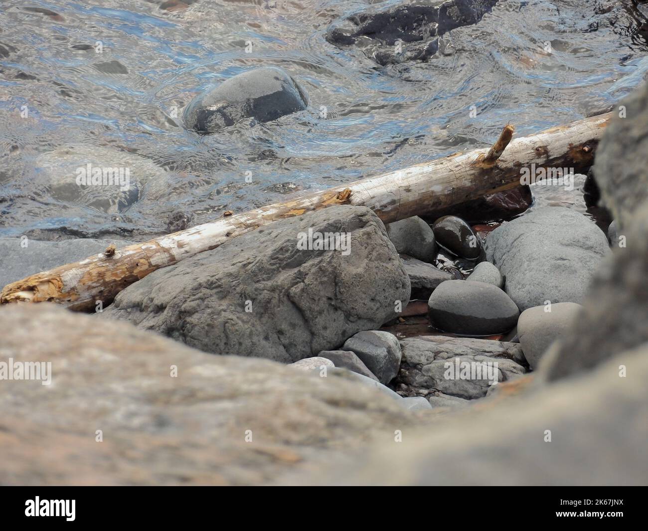 A driftwood stuck on the rock in the river Stock Photo - Alamy