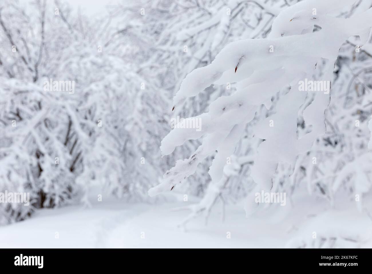 Textures and wallpapers winter theme hi-res stock photography and images - Alamy
