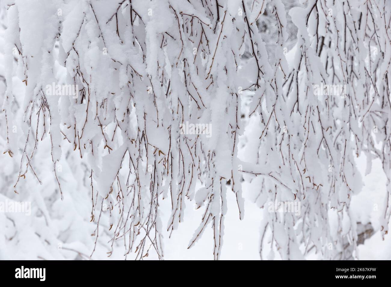 Backgrounds and textures hi-res stock photography and images - Alamy