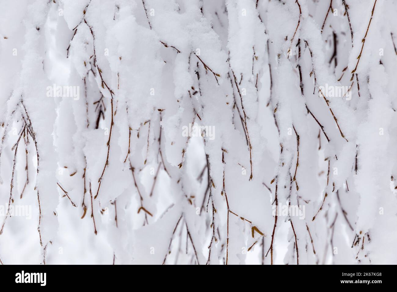 Backgrounds and textures hi-res stock photography and images - Alamy