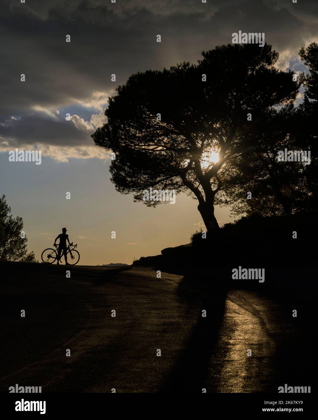 Cycling sunset ride around the Alpilles, San Remy, Provence, France ...