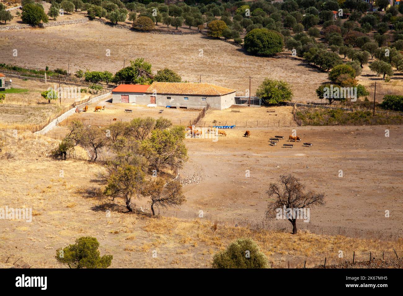 Small Greek farm at Molyvos on the Island of Lesvos Greece Stock Photo ...