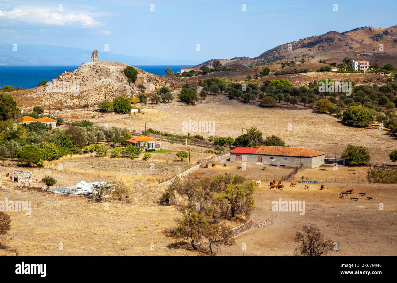 Small Greek farm at Molyvos on the Island of Lesvos Greece Stock Photo ...