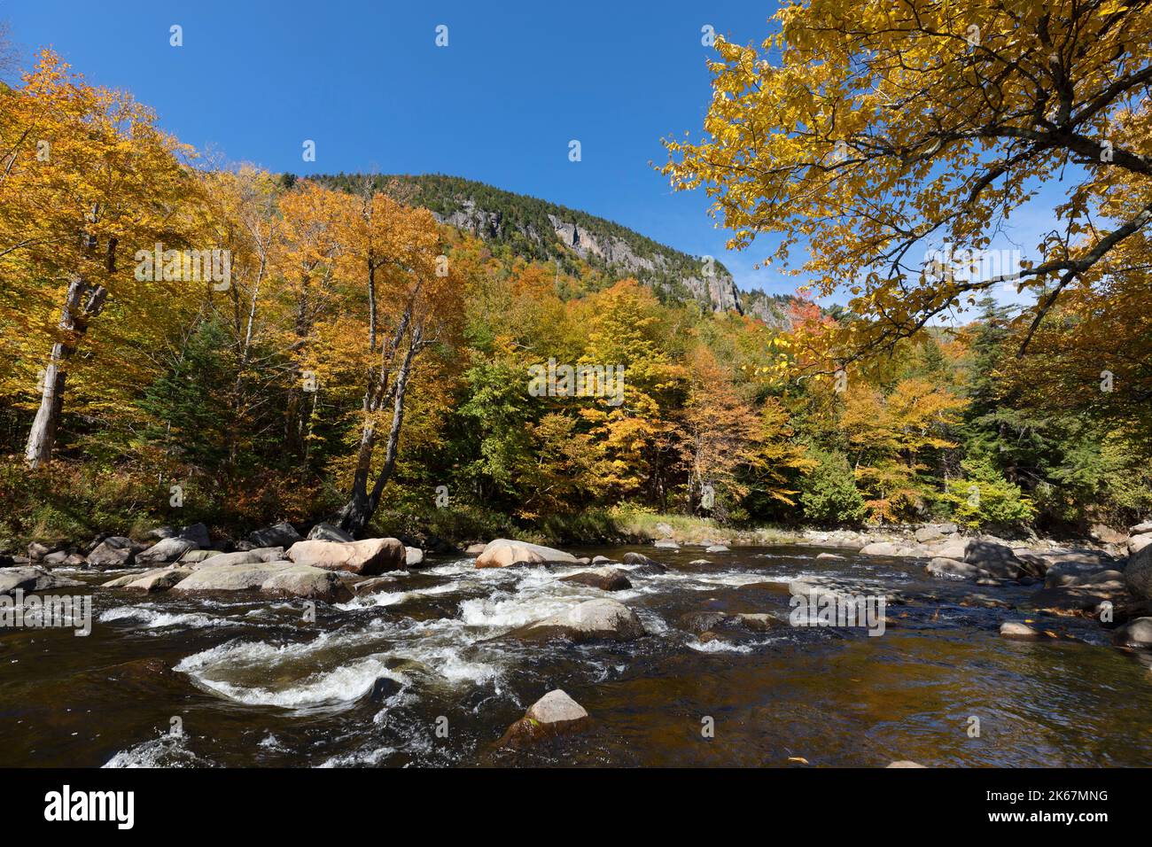 Mountain river, fall foliage, Adirondacks, New York Stock Photo - Alamy