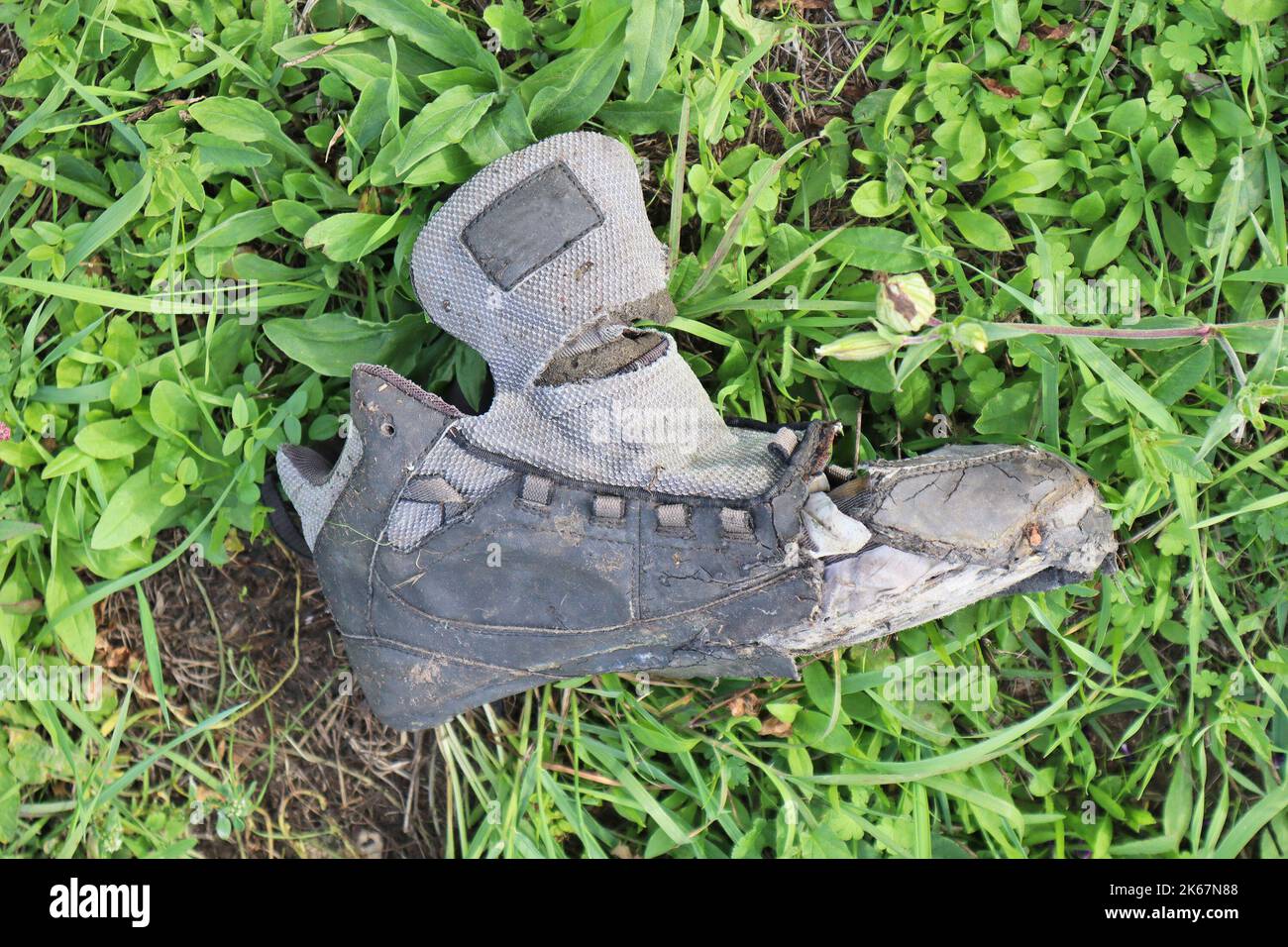 Old ruined brogue shoe in the grass Stock Photo - Alamy