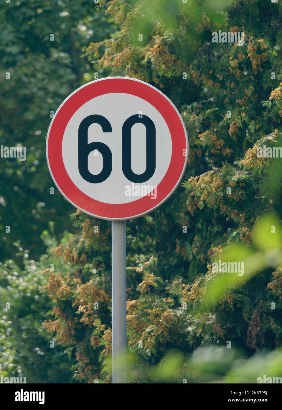 A vertical close shot of the 60 speed limit traffic signboard placed ...