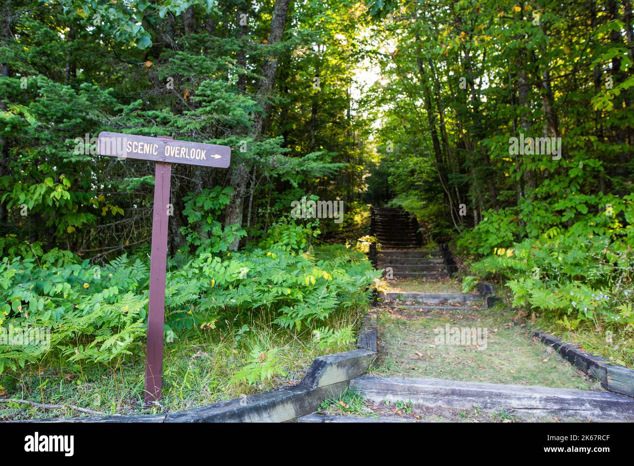 A service trail sign in the forest Stock Photo - Alamy