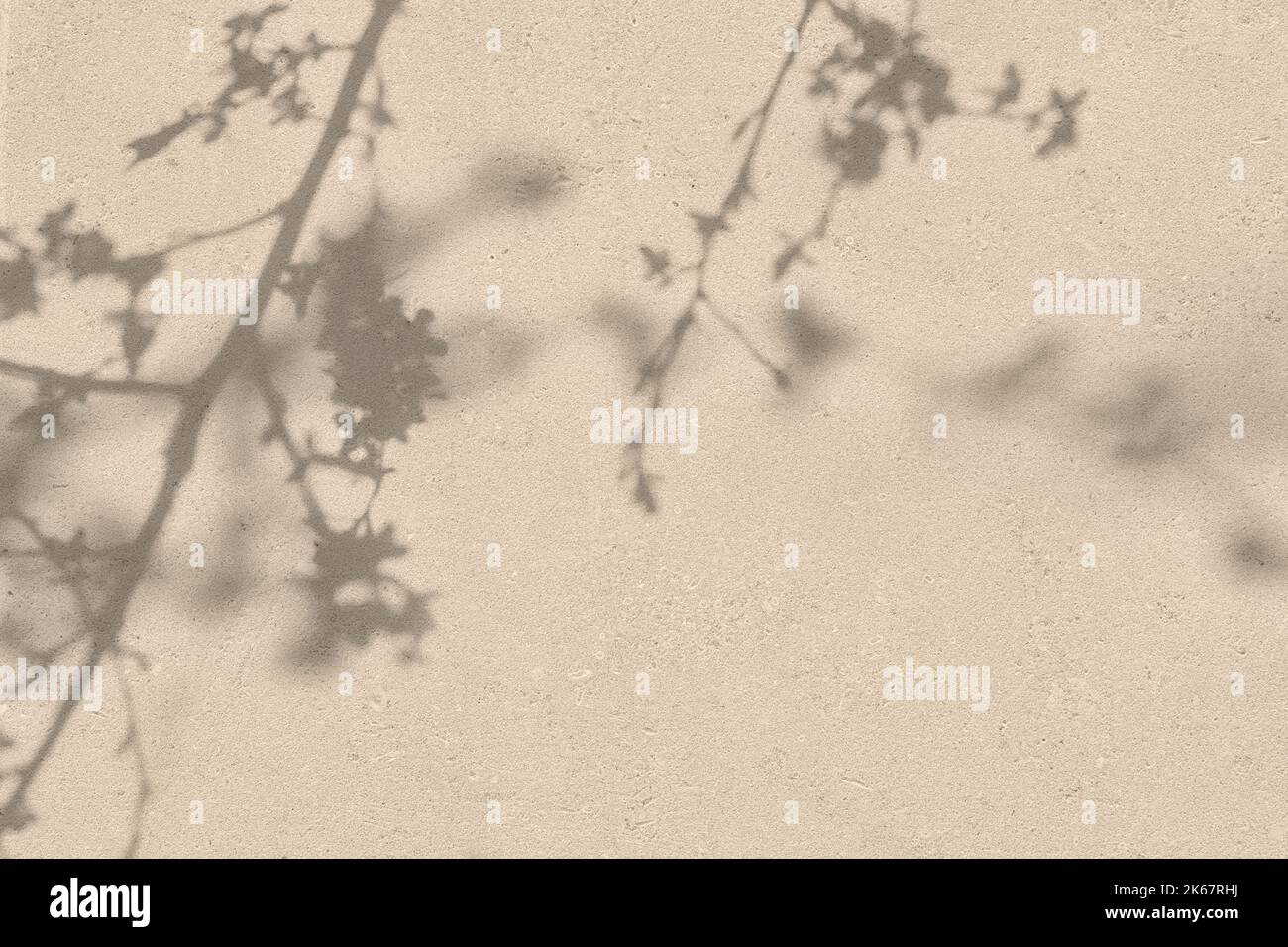 Shadow of leaves on beige concrete wall texture background Stock Photo - Alamy