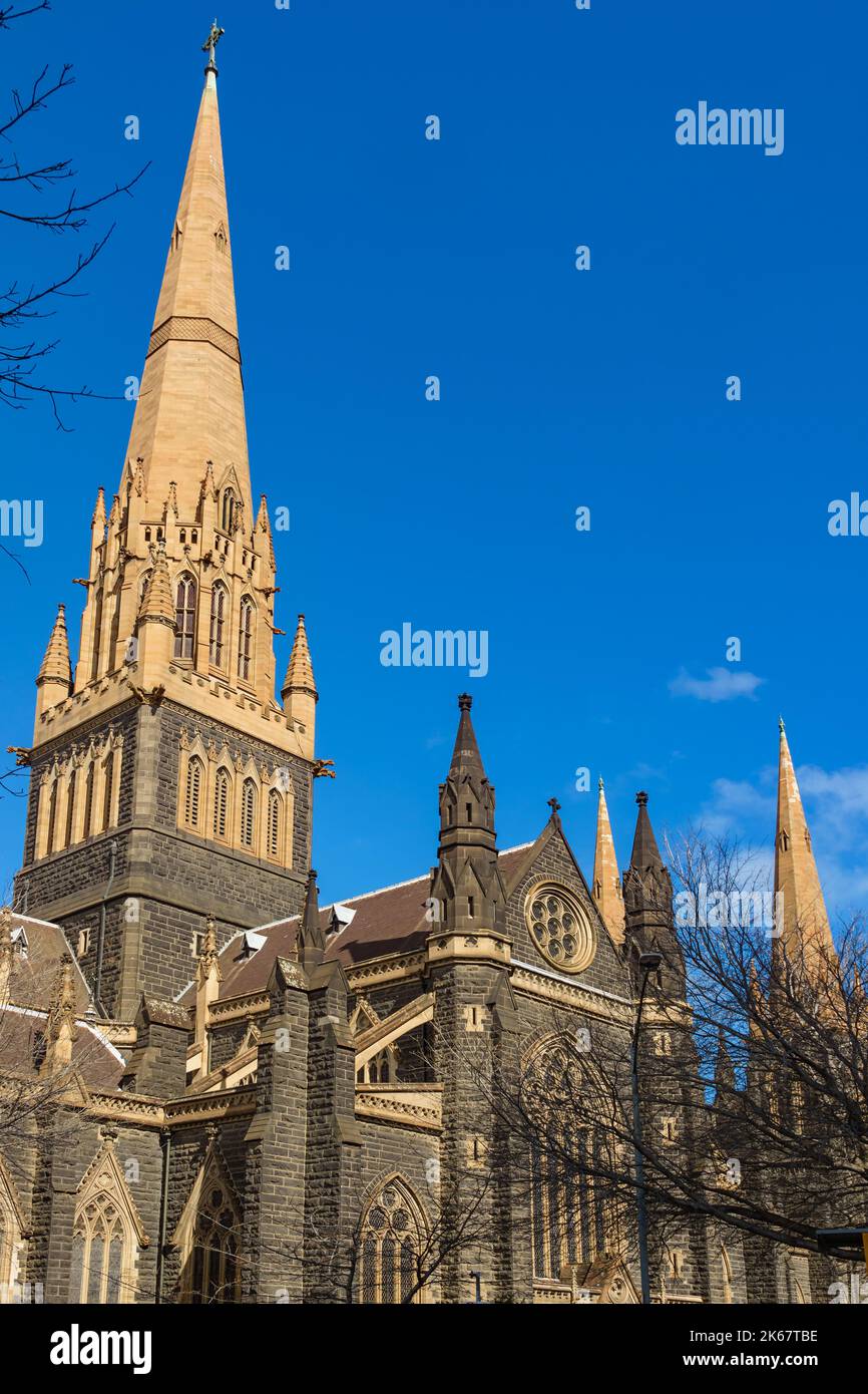 St Patrick's Cathedral in Melbourne, Victoria, Australia Stock Photo ...
