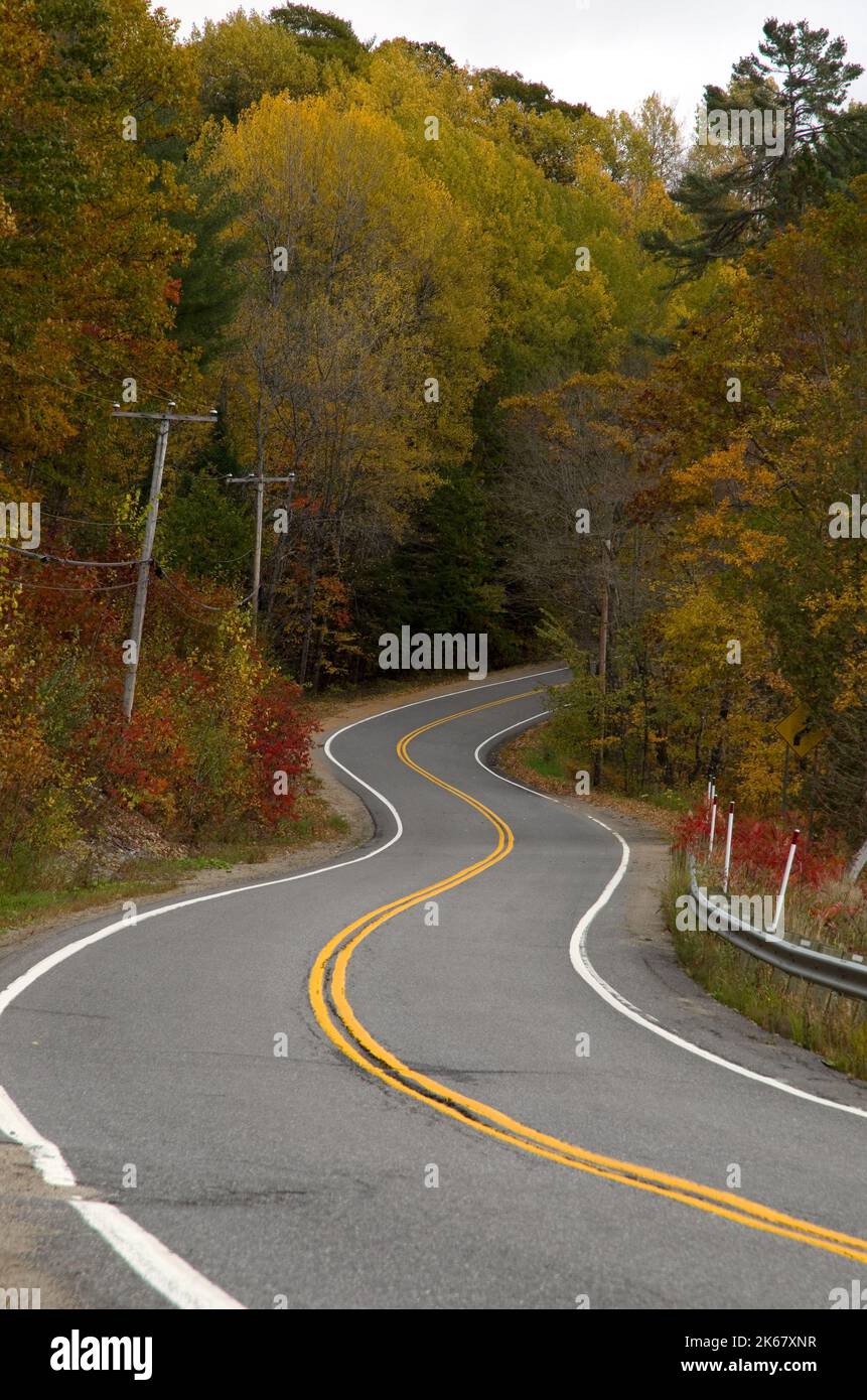 Fall Season Rural Curved Road in the Forest Vertical Stock Photo - Alamy
