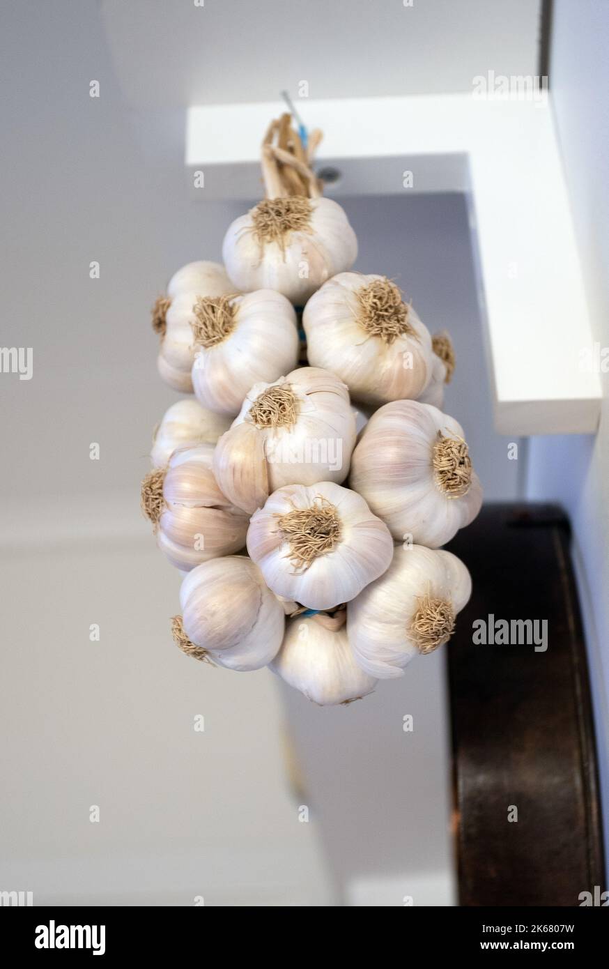 Cloves of fresh garlic Stock Photo - Alamy