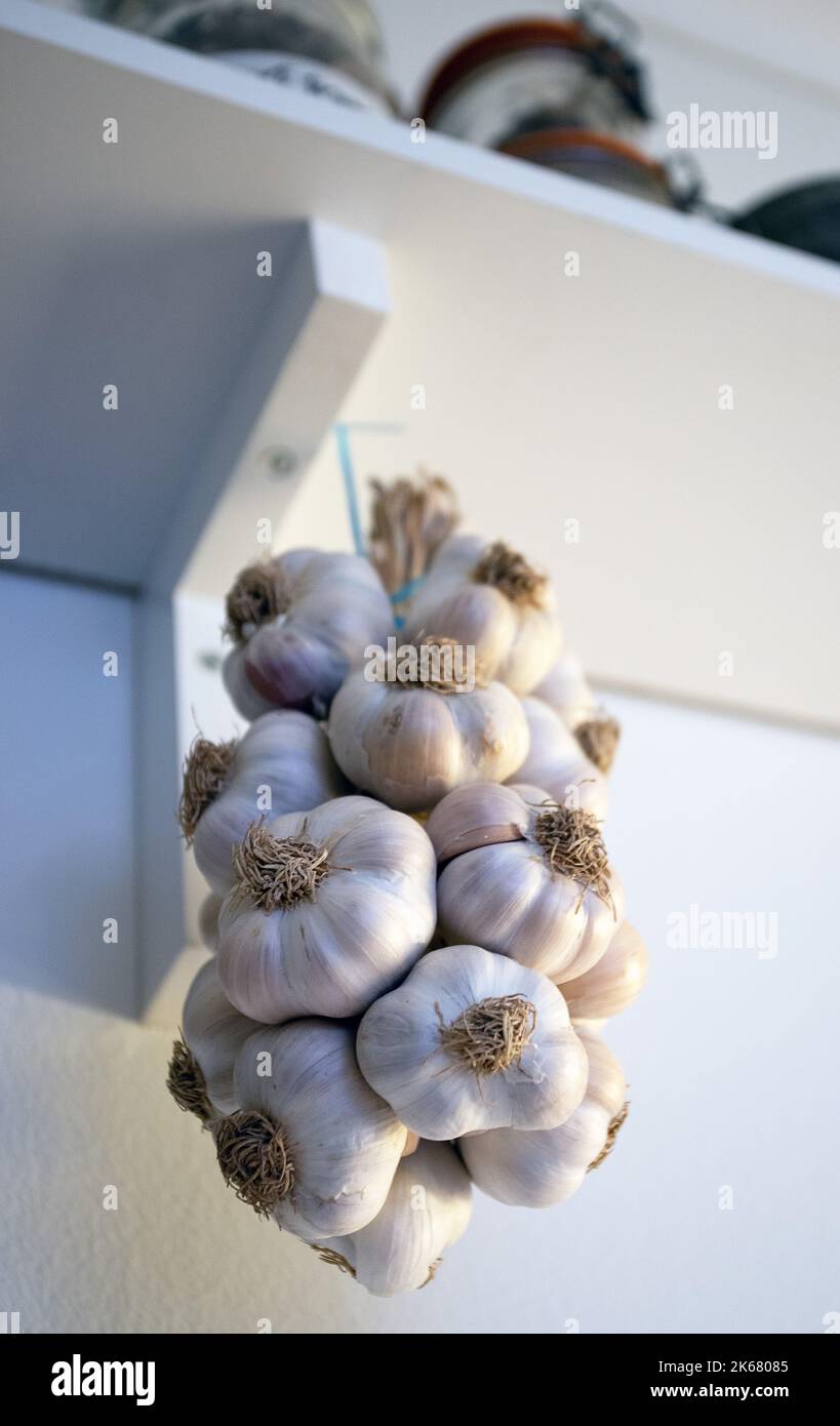 Garlic close view hi-res stock photography and images - Alamy