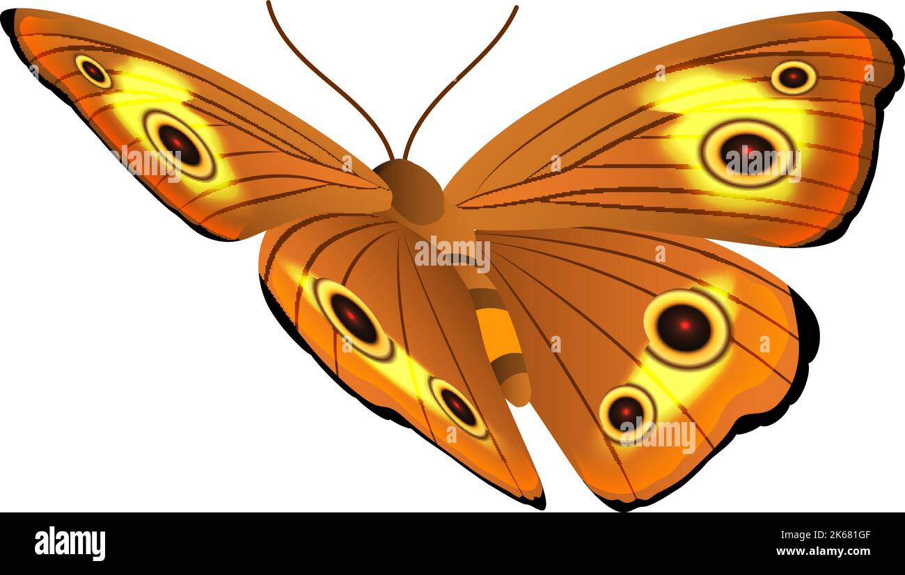 Cartoon moth hi-res stock photography and images - Alamy