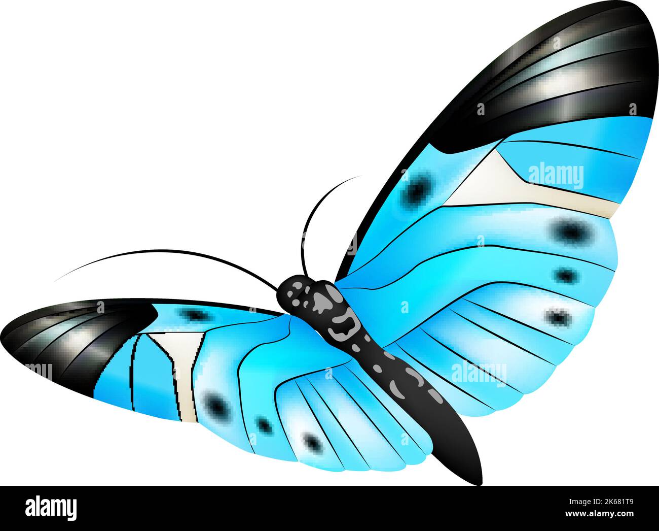 Flying moth light Cut Out Stock Images & Pictures - Alamy