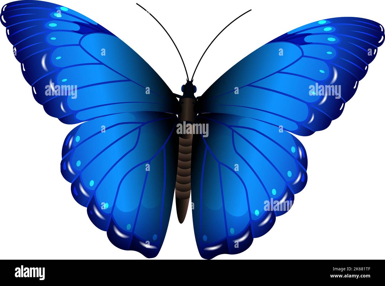 Night moth Stock Vector Images - Alamy
