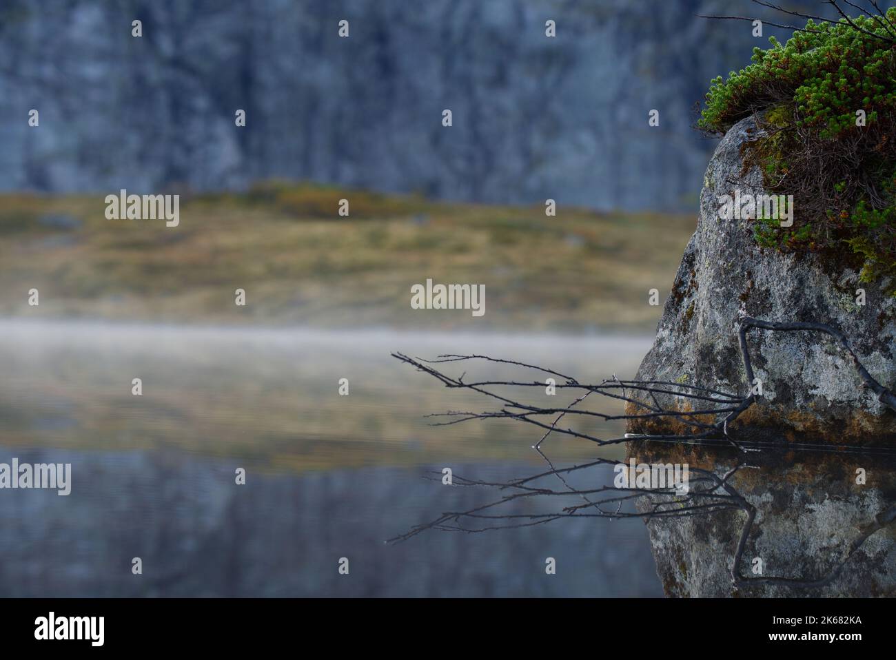 A shallow focus shot of a branch by rock formation sticking above the ...