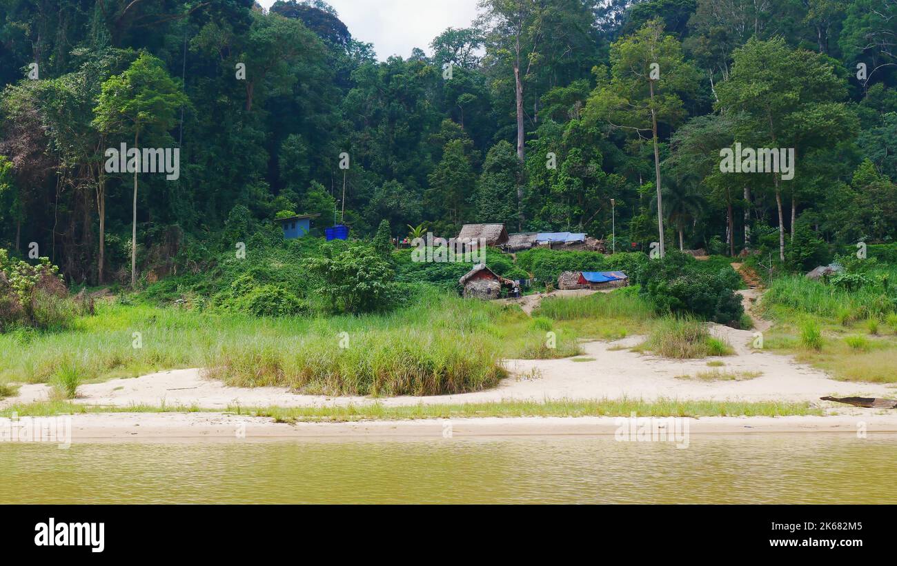 Small huts on the lakeshore in lush green forest in Malaysia Stock ...