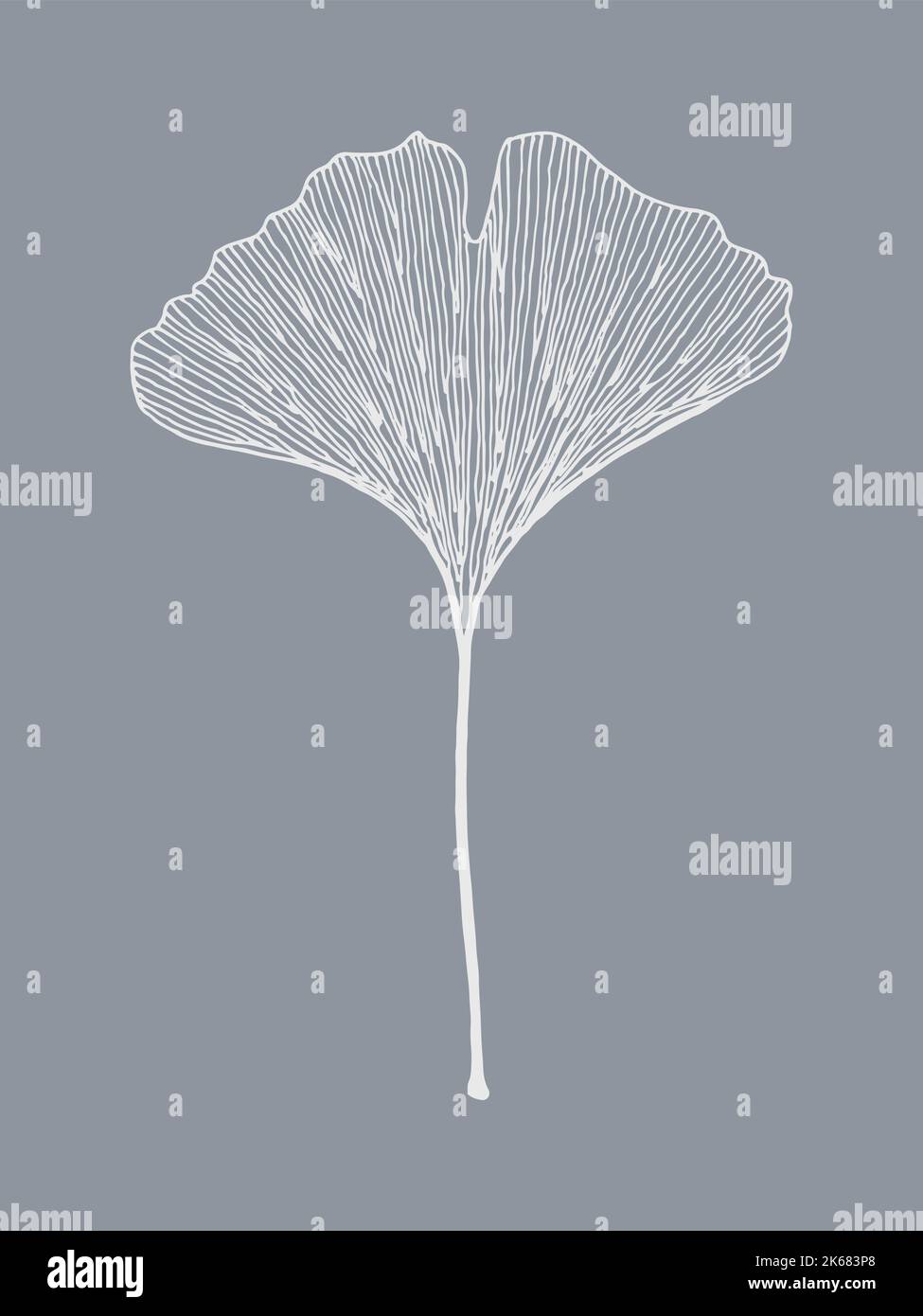 Ginkgo leaf vector light in color on Dark grayish blue background Stock ...